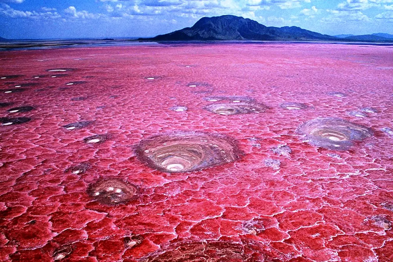 Lago Natron na Tanzânia