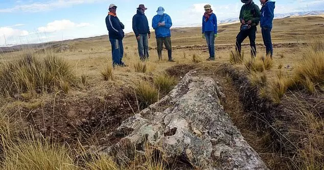 Andes deserts éta leuweung 10 juta taun ka tukang