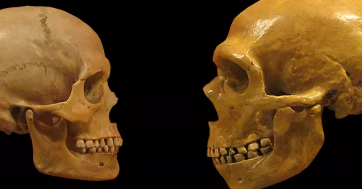 Neandertálci dostali svoj mužský chromozóm od moderných ľudí