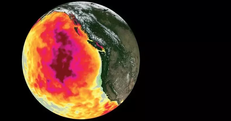 Cómo las burbujas de agua caliente en el océano matan a cientos de miles de seres vivos