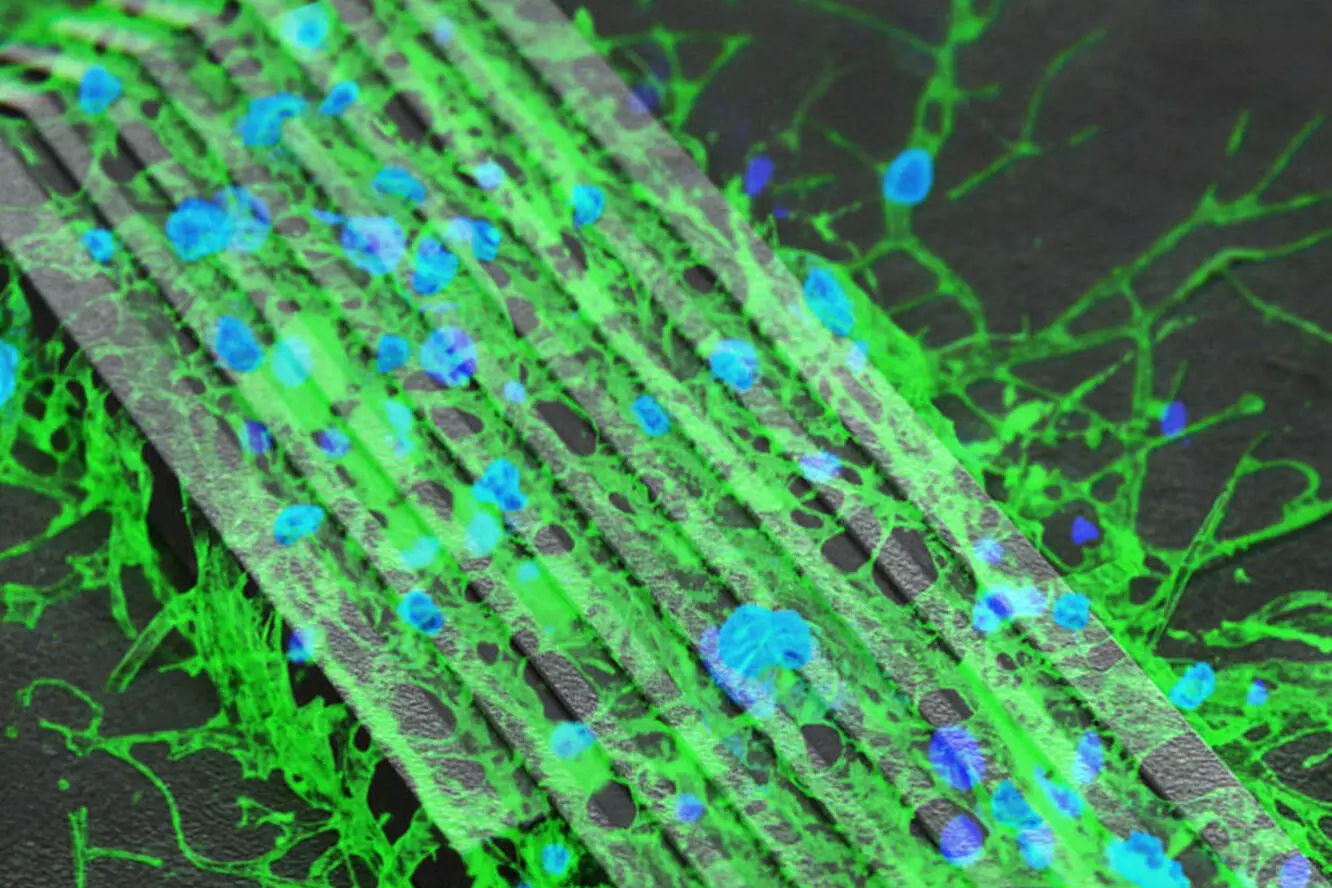 Se ha desarrollado un método para crear computadoras biológicas.