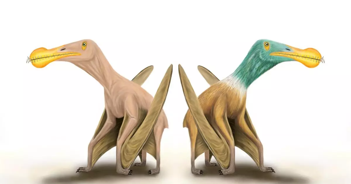 Pterosaurs có thể đã bị hói