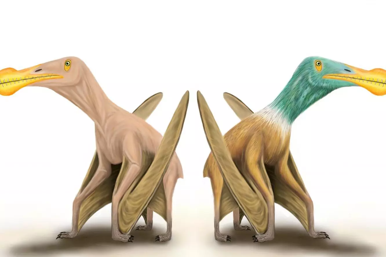 O Pterosaurs atonu ua tula