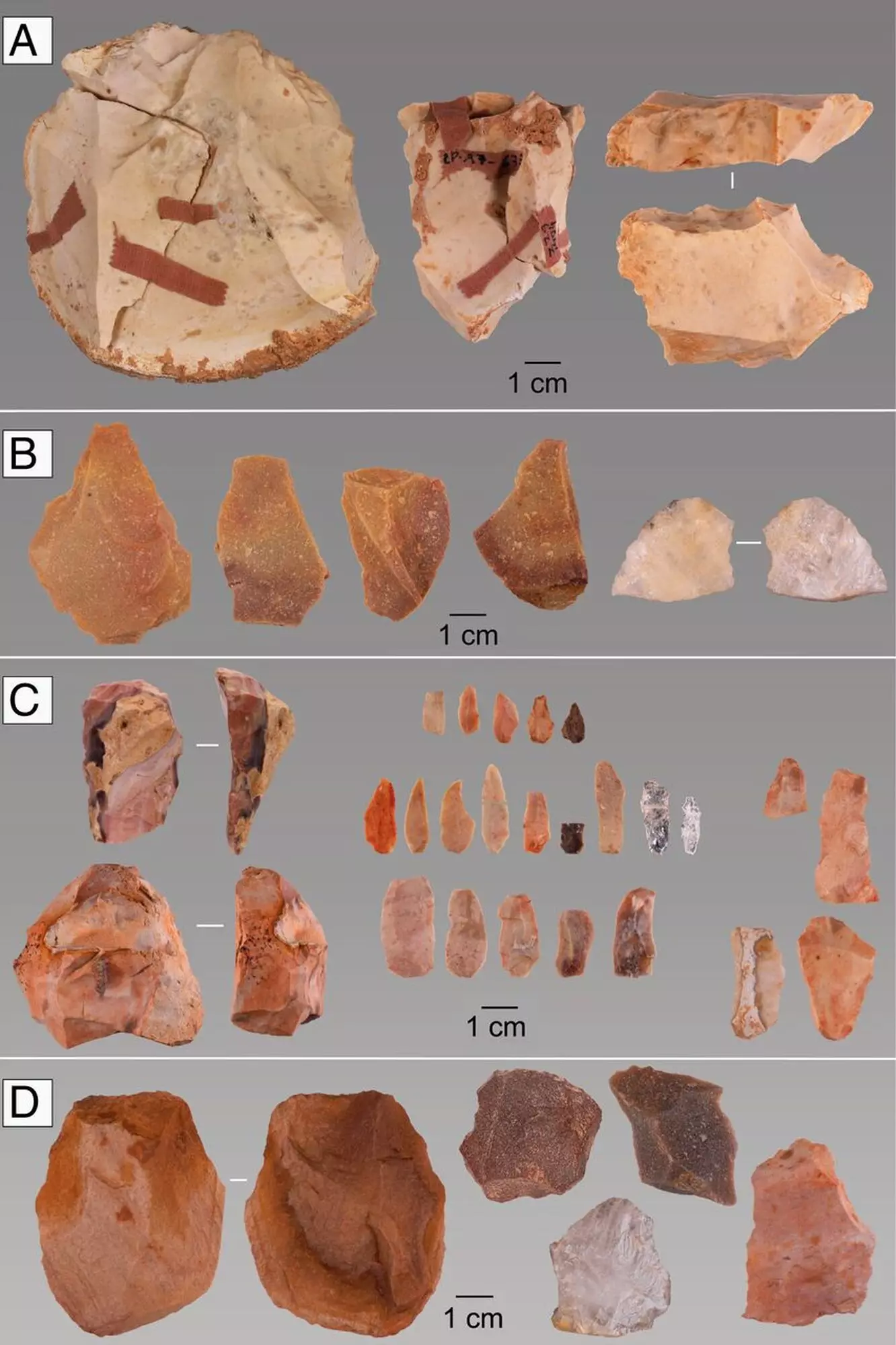 Aurignacian stone tools