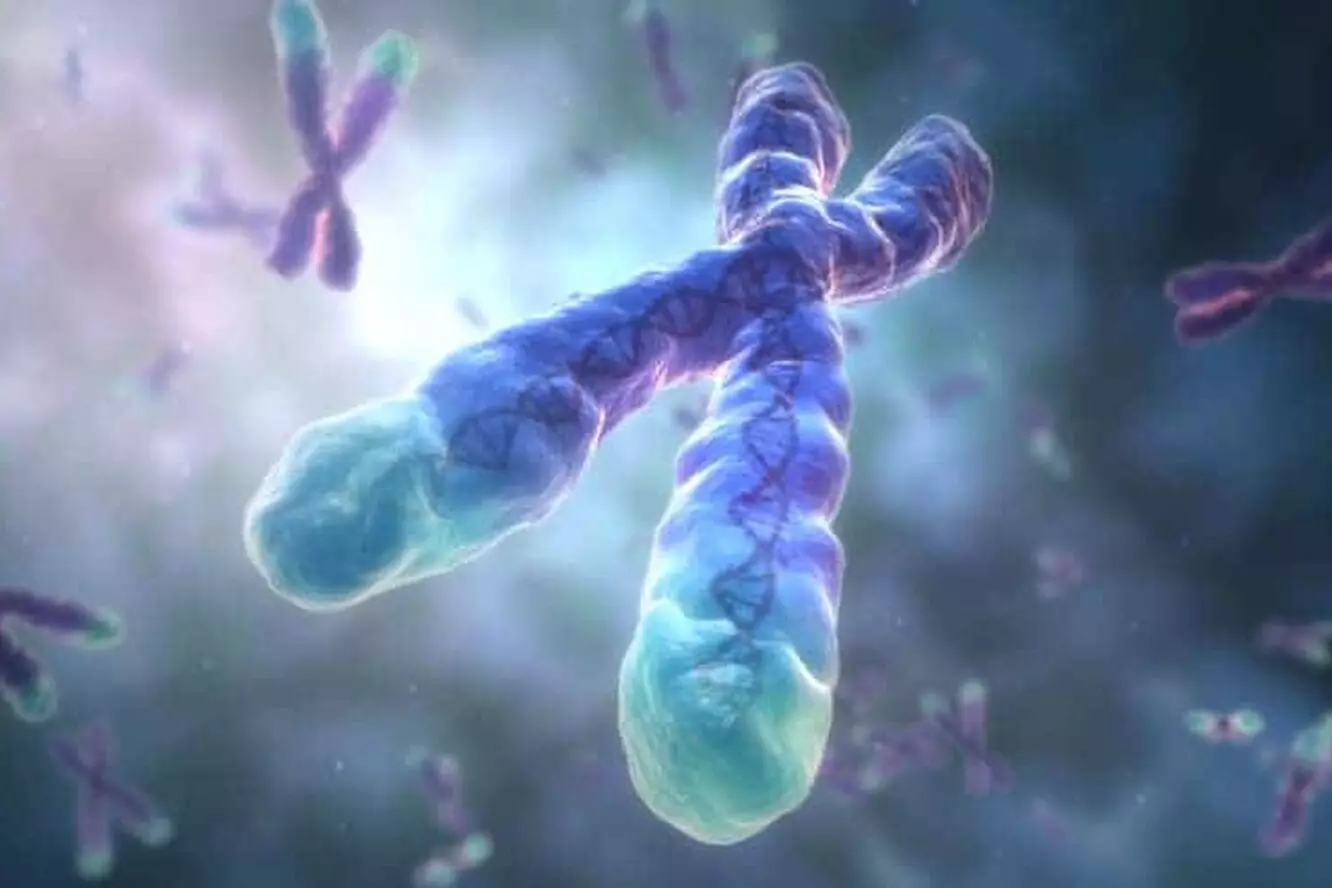 Telomeres: ทำไมคนถึงแก่และมีชีวิตอยู่ได้ตลอดไป