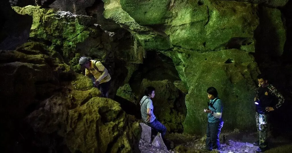 De l'art rupestre vieux de 3 000 ans découvert dans des grottes en Thaïlande