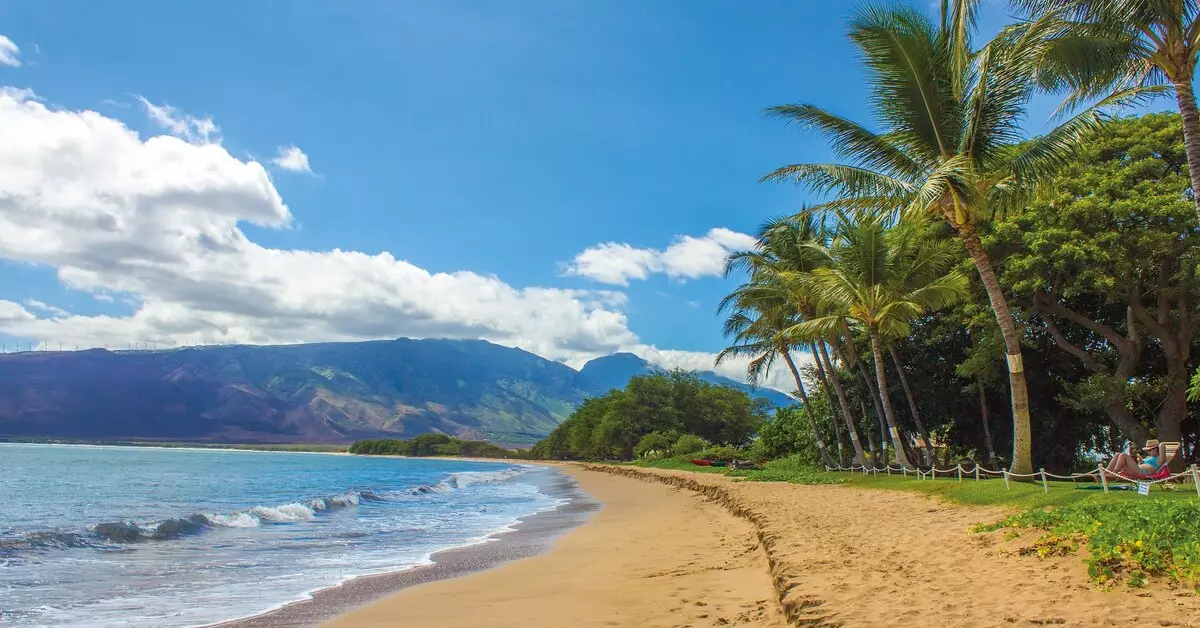 Belea Hawaiira itzultzea huts egin zuen berriro