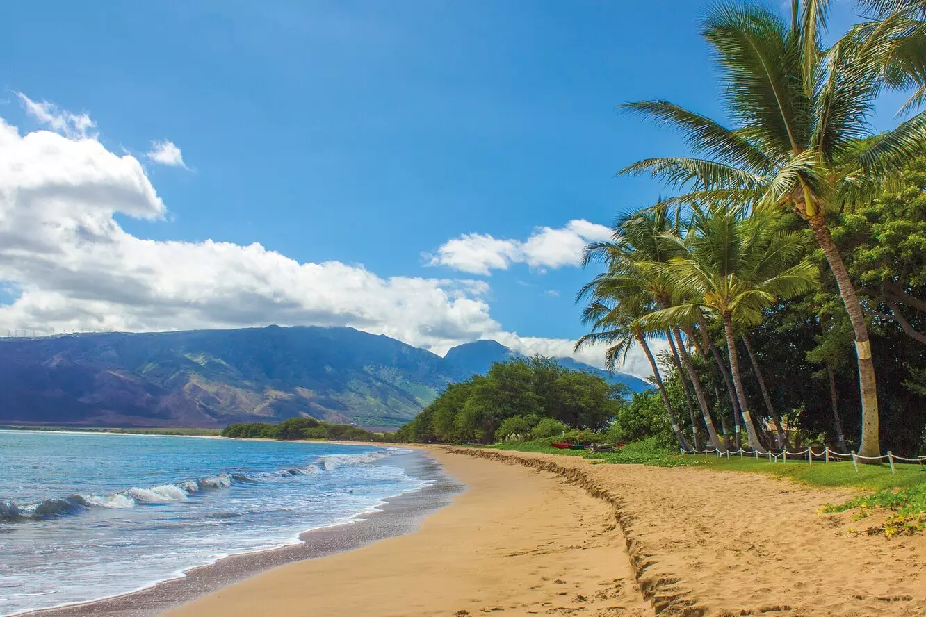 Kembalinya burung gagak ke Hawaii gagal lagi