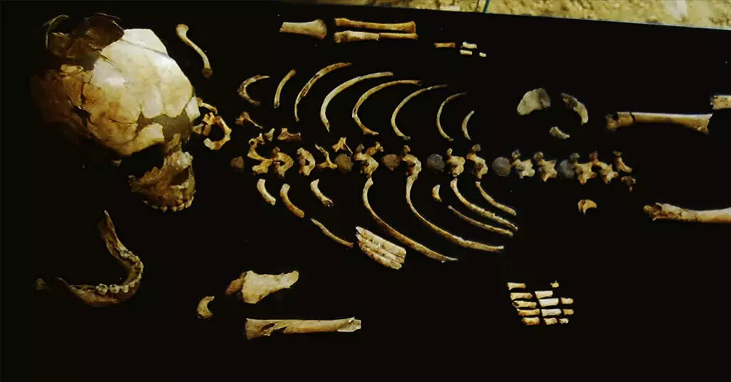 Evolusi Neanderthal dipersoalkan