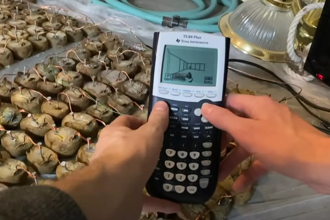 DOOM lancé sur une calculatrice avec 200 pommes de terre