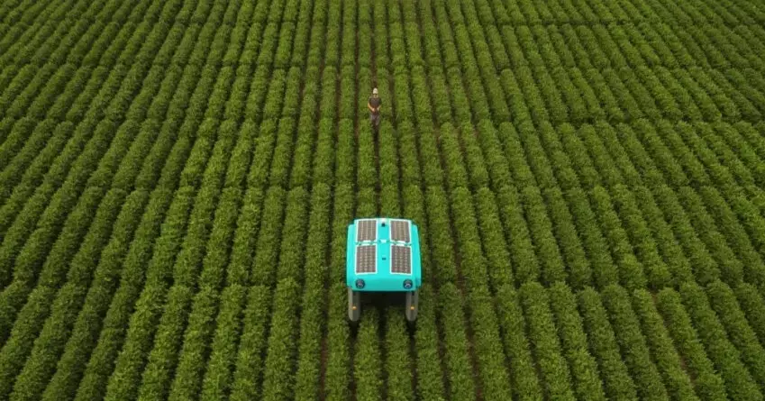 La empresa propietaria de Google fabricó un buggy para la agricultura