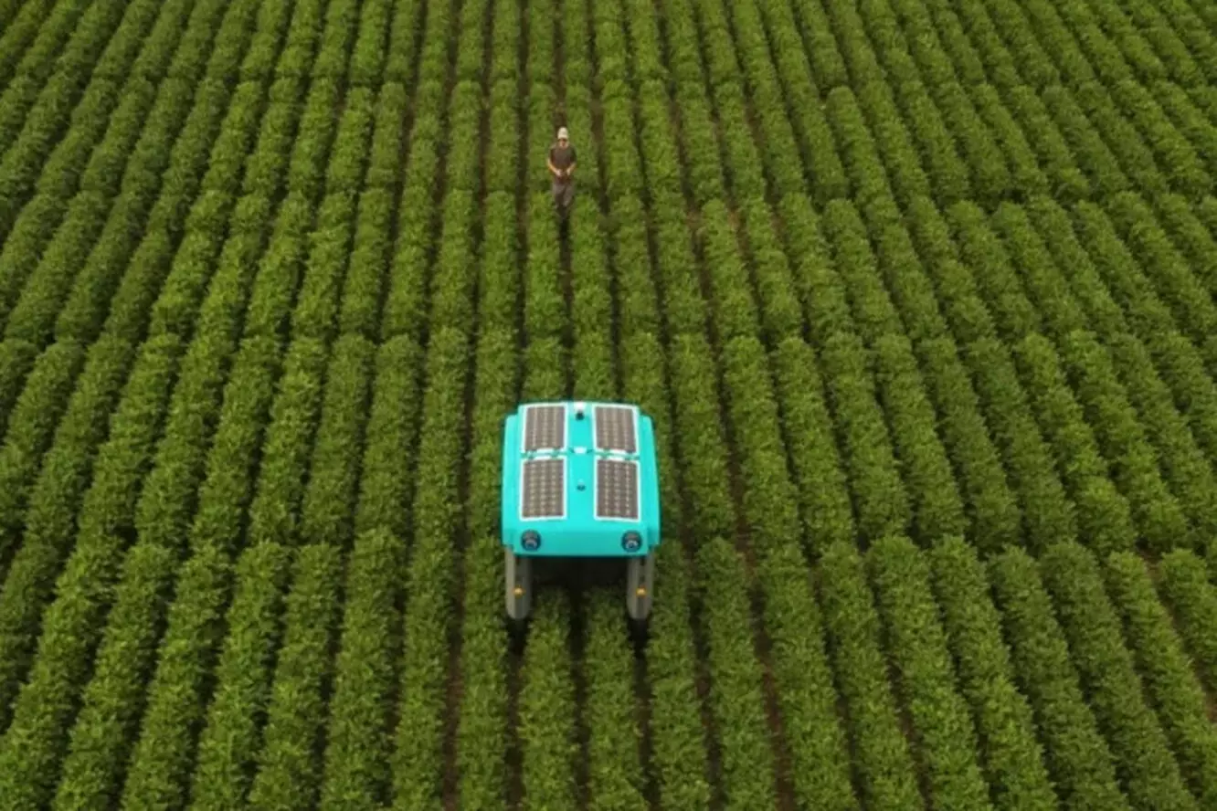 A empresa dona do Google fez um buggy para agricultura