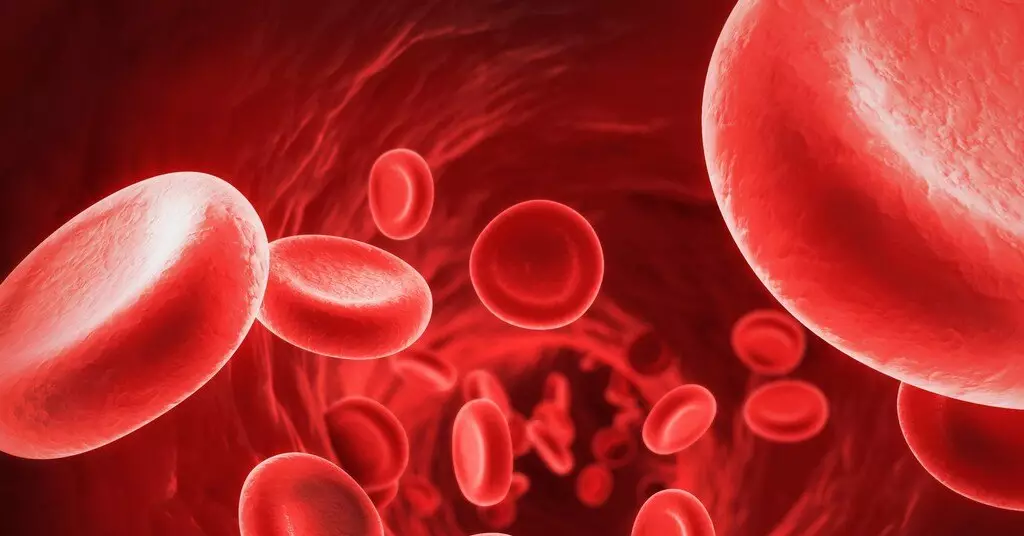 血液事實：輸血，類型，病理學