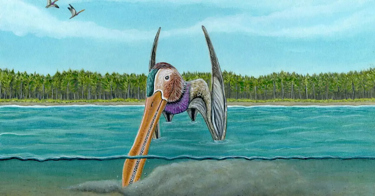 ဧရာမ ကီဝီသီးနှင့်တူသော pterosaurs များကို ရှာဖွေတွေ့ရှိခဲ့သည်။