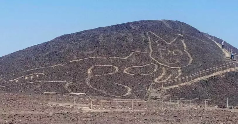 Risba mačke, najdene na planoti Nazca v Peruju