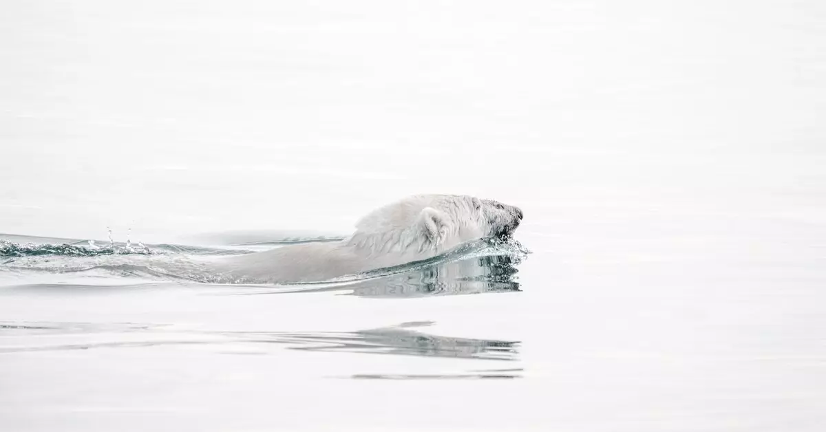 L'Arctique n'est pas pressé de geler cette année