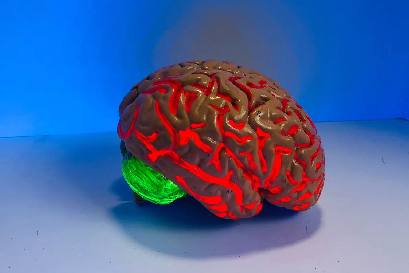 Naukowcom udało się „przeprogramować” mózg na „właściwy” wybór