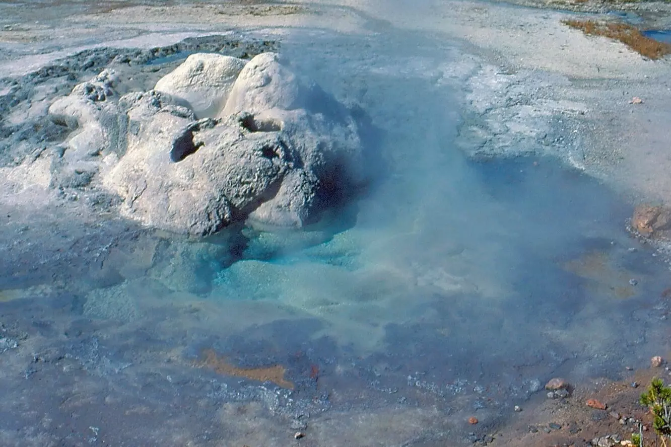 Un home fritiu un polo e recibiu a prohibición de visitar Yellowstone