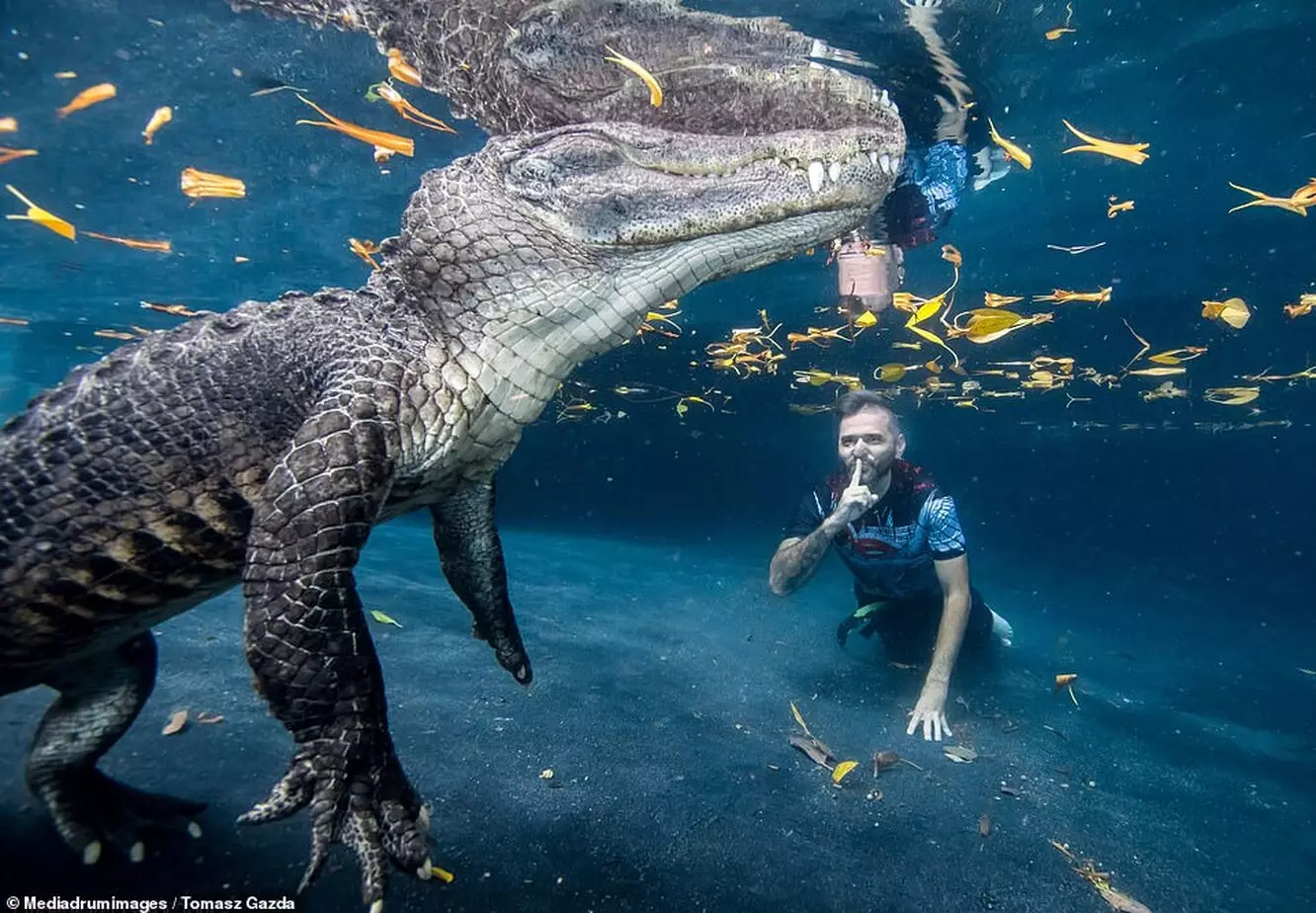 8 amazing photos from the world of wild and cruel nature in 2020 145698_2