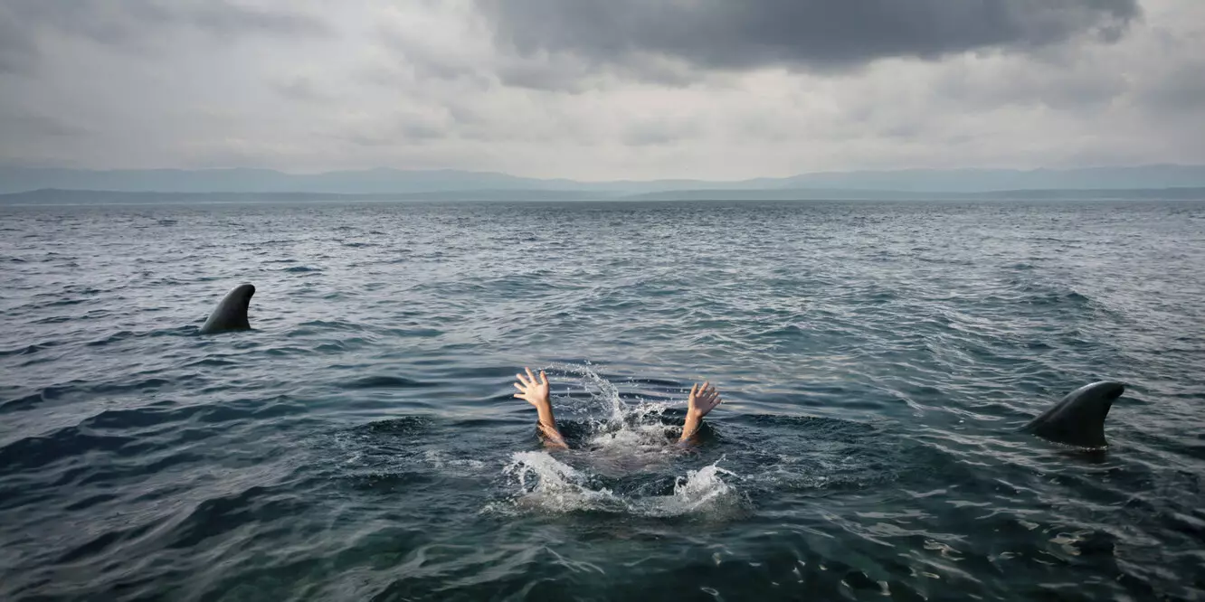 Sharks are attracted to actively moving objects, so in case of danger, it is better to try not to create excessive excitement and splashes of water.