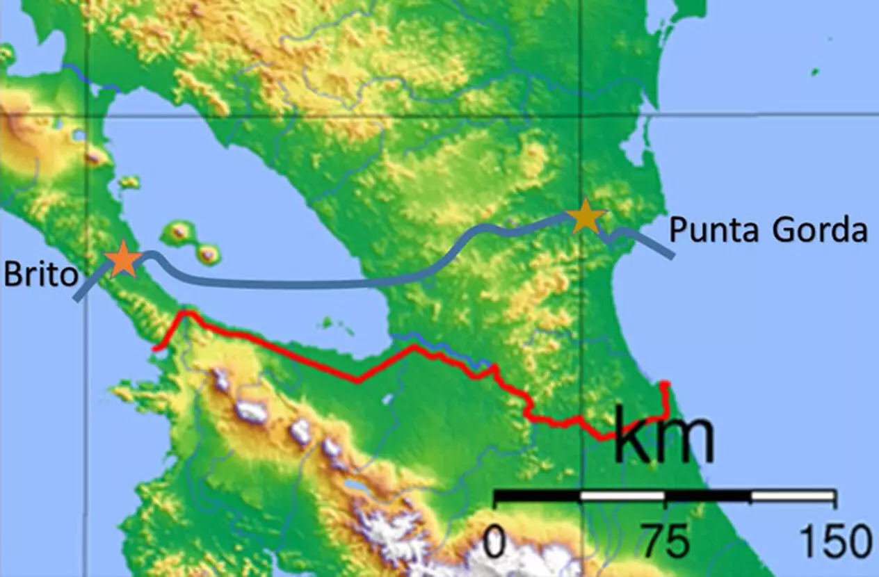 Wanting to compete with the Panama Canal, in 2014 the Nicaraguan authorities approved the construction of their own intercontinental canal, three times as long. Despite the obvious benefits to shipping, some scientists believe that the project could lead to an environmental disaster, destroying thousands of acres of forests and a natural reserve - Lake Nicaragua.