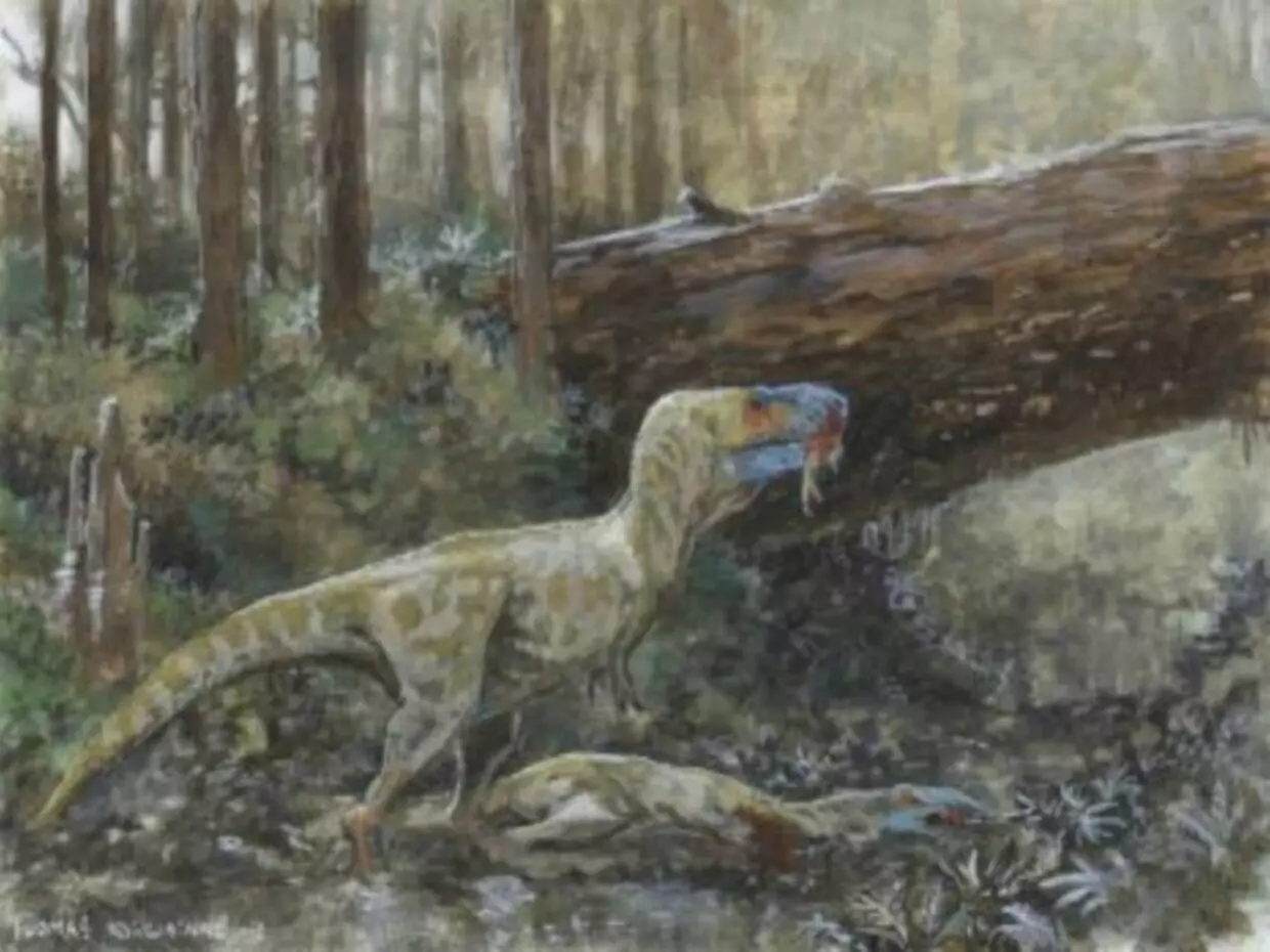 Tyrannosaurfamilien var kannibaler. Å dømme etter studiet av beinene til Daspletosaurus, en veldig nær slektning av Tyrannosaurus, ble de fleste skadene påført den etter døden til sin egen slektning, det vil si at hovedrovdyret i juraperioden ikke foraktet å spise det. eget slag.