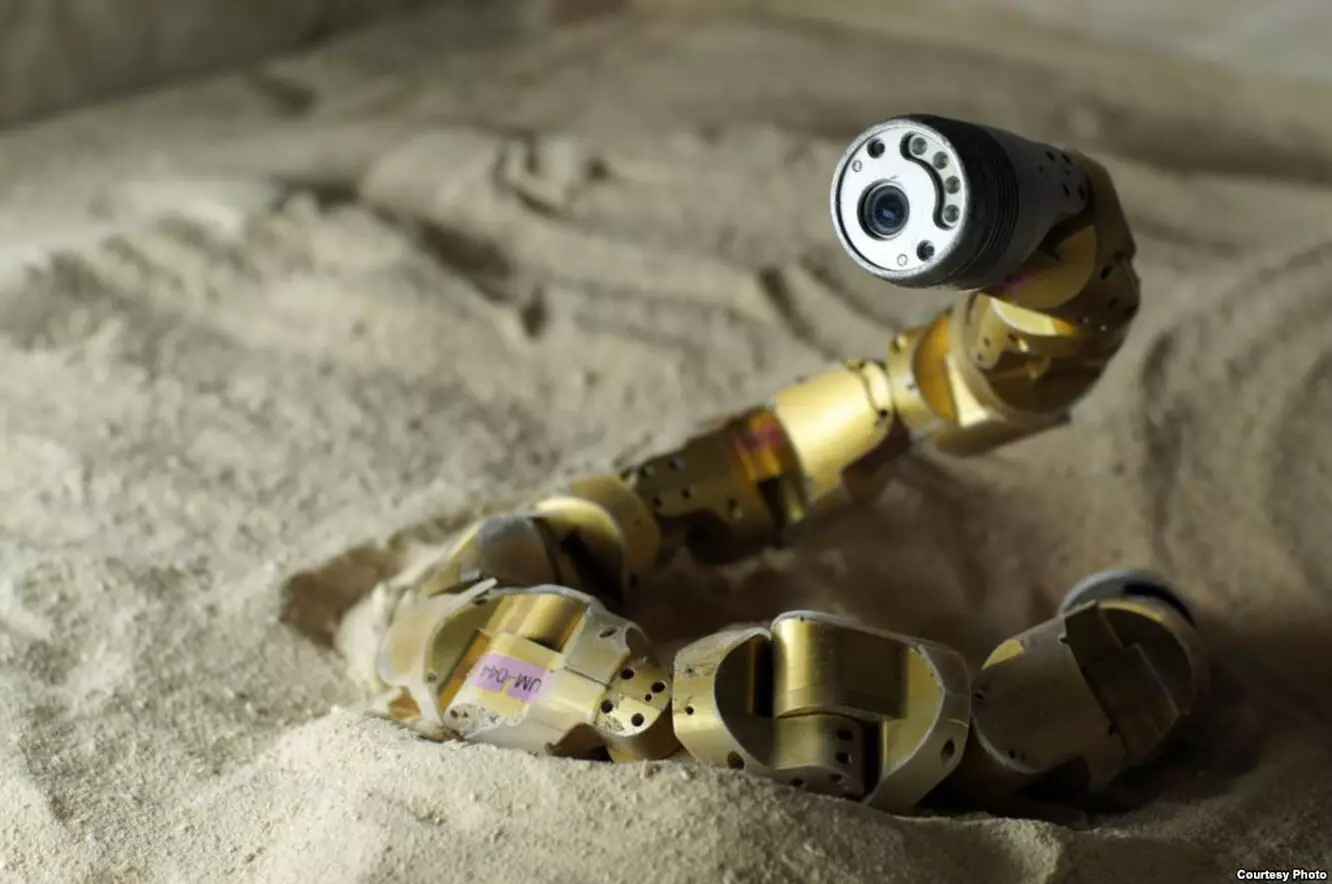Robotslange is een van die kernbevoegdhede van die robotika-afdeling aan die Carnegie Mellon Universiteit. Hul robotte kan kruip, rol, swem, mure klim en deur nou spasies druk om by enige terrein of situasie aan te pas. Onlangs het robo-slange geleer om oor die sand te gly en soos ratelslange om te draai om ratsheid en beweeglikheid te verhoog.