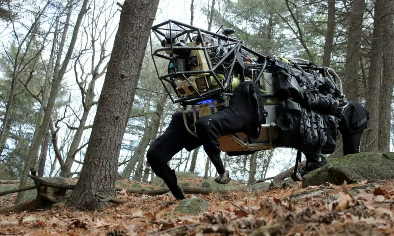 BigDog mangrupikeun pamekaran Boston Dynamics, robot pangsaéna di dunya pikeun ngalih dina rupa bumi anu kasar. Hal ieu dirarancang pikeun tujuan militér, beuratna 110 kg kalayan ukuran panjangna saméter sareng jangkungna 80 cm. BigDog nungkulan rupa bumi naon waé dina laju 6,5 km / jam, bari mawa 150 kg kargo sareng mendakan jalanna nganggo sistem optik LIDAR sareng visi stereo.