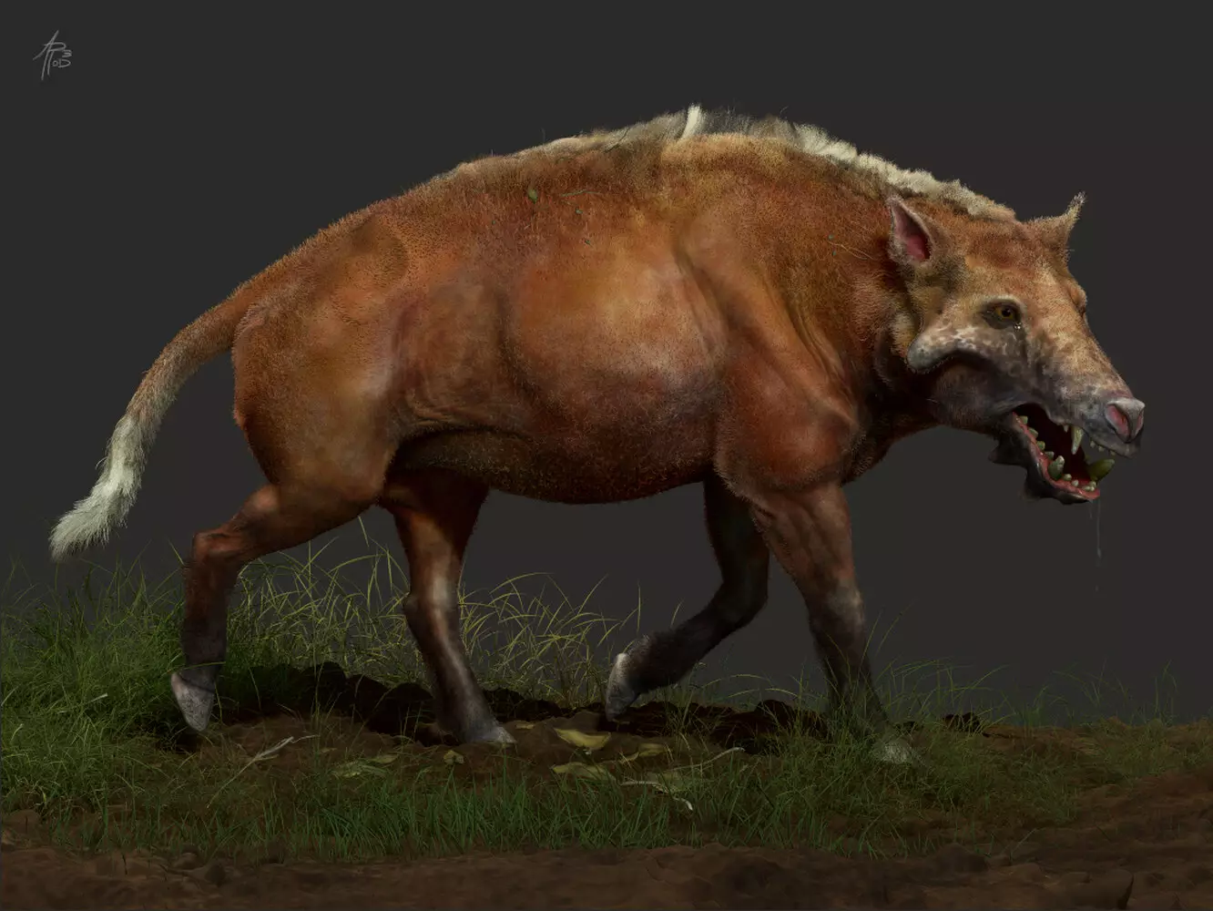 Archaeotherium，也被称为“地狱猪”，生活在 3000 万年前，与现代猪非常相似——仅调整为身高 1.2 米，身长 2 米，重达 300 公斤。然而，根据基因，古细菌属于河马的祖先。强大的下颚让他既可以撕裂地面寻找树根，也可以猎杀小型生物。