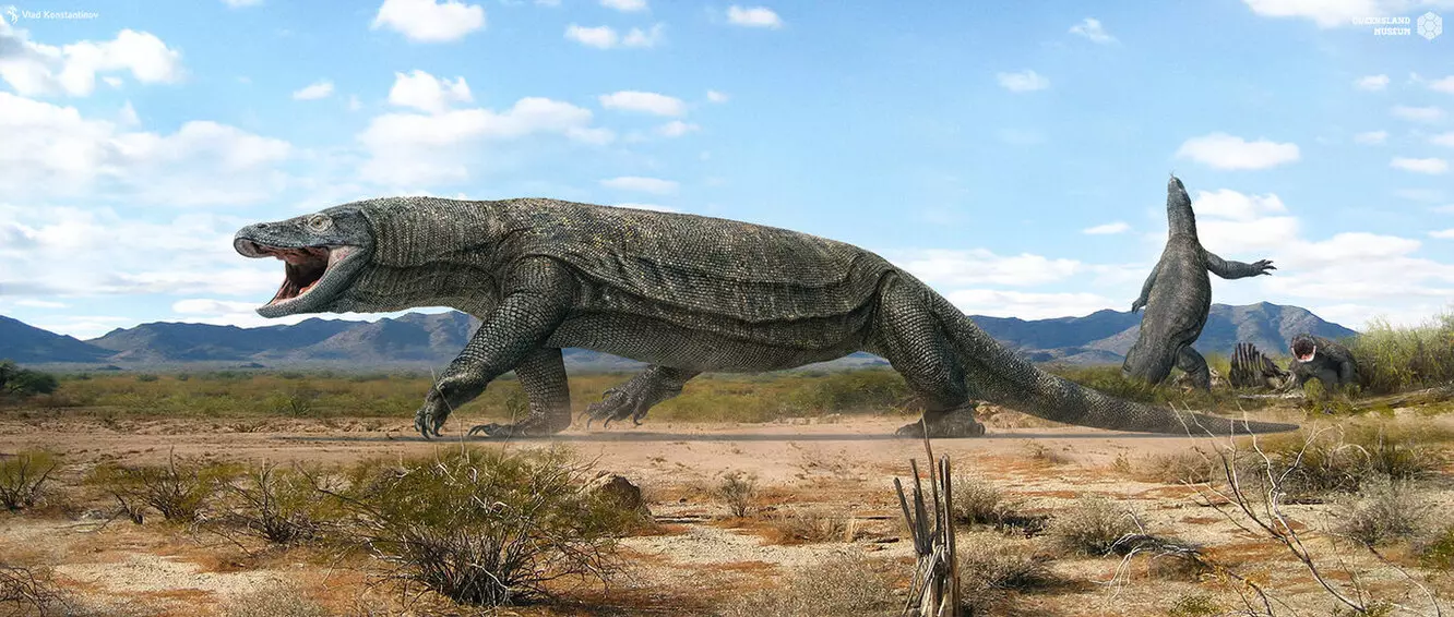 Megalania nyaéta kadal monitor Australia anu punah kira-kira 40 rébu taun ka tukang. Nepi ka 9 méter sarta beuratna dua ton, éta kasampak leuwih kawas naga nyata ti Komodo modern.