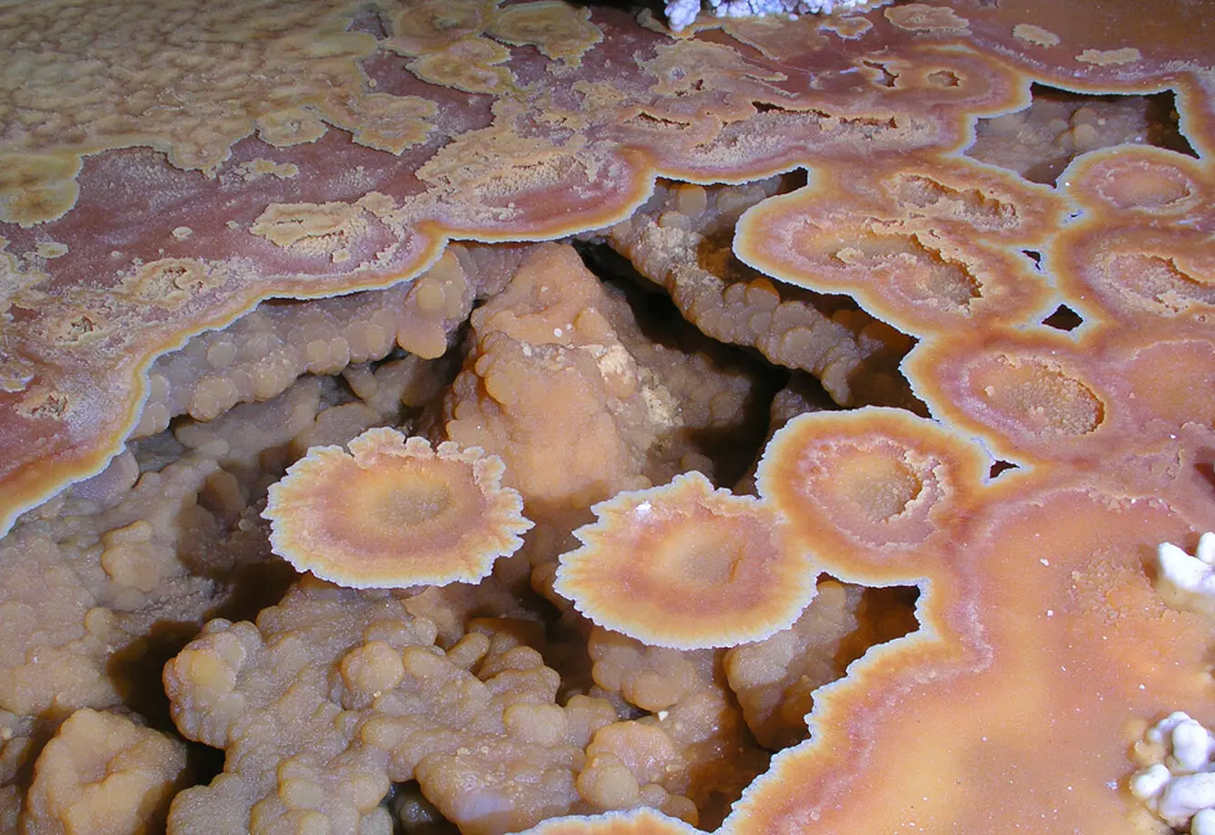 Une étagère en pierre est un piédestal plat au milieu d'un lac souterrain, rappelant une table basse en verre. Il est formé de dépôts de calcite à la surface de l'eau, s'approfondissant progressivement jusqu'à toucher le mur ou le fond. Ces formations peuvent être aussi fines que du papier ou suffisamment dures pour supporter le poids d'une personne.