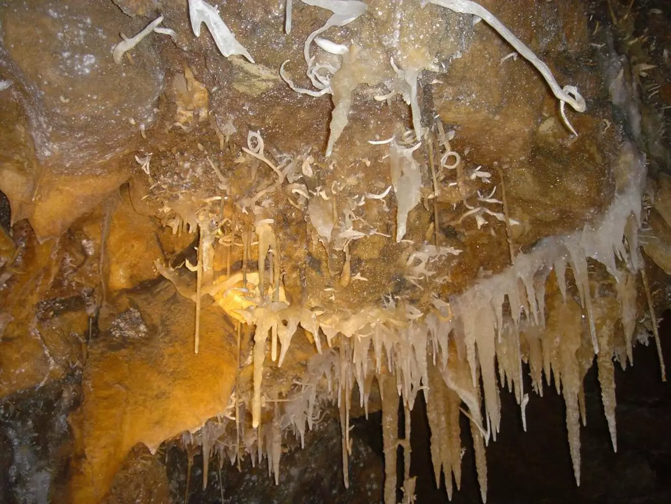 Les hélictites se développent initialement sous forme de stalactites, sous la forme d'un tube capillaire de calcite dirigé vers le bas. Mais si l'eau change de direction pour une raison quelconque, le capillaire se plie également, formant une formation qui défie la gravité.