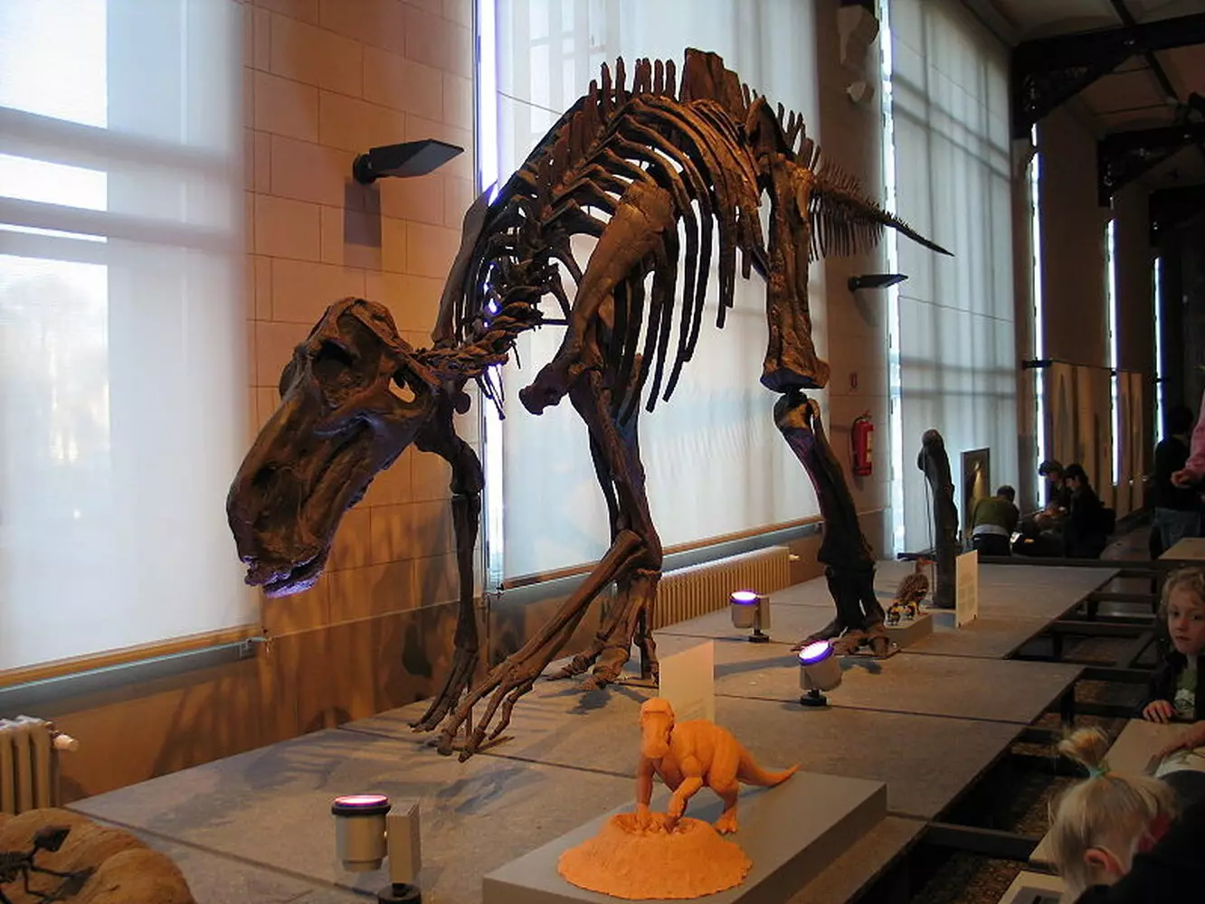 Maiasaura (1975) was described by the American paleontologist Jack Horner, also known as the prototype of the protagonist of Jurassic Park, Dr. Alan Grant. After careful study of well-preserved fossilized eggs, juvenile and adult skeletons, the Mayasaur have been called the first dinosaurs to take care of their offspring.