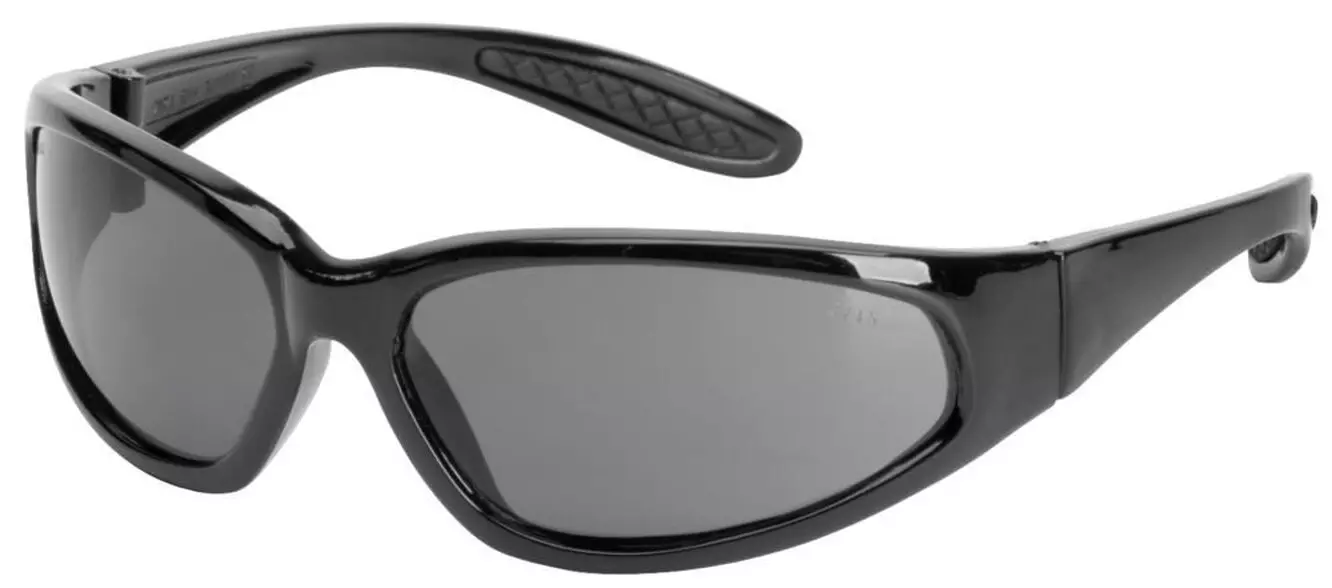 Les lunettes de soleil Hercules sont la quintessence du style et de la durabilité. Ils peuvent être pliés, battus, écrasés par un camion, mais ils resteront toujours en parfait état de fonctionnement.