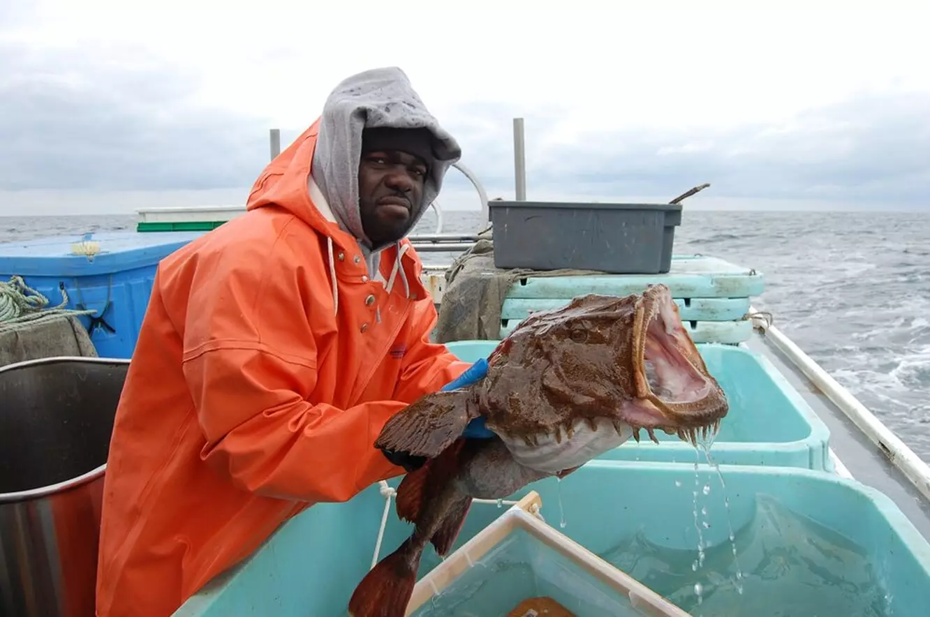 Europeanewropaly angler, deňiz şeýtanlary, uzynlygy iki metre ýetýär we agramy 60 kg. Aşakda ýaşaýarlar, bukuda ýatýarlar we balyklaryň ýüzmegine garaşýarlar. Adatça adamlar bilen gyzyklanmaýarlar, ýöne tötänleýin hüjüm edilse, şeýle haýwanlaryň eňeginden çykmak gaty kyn.