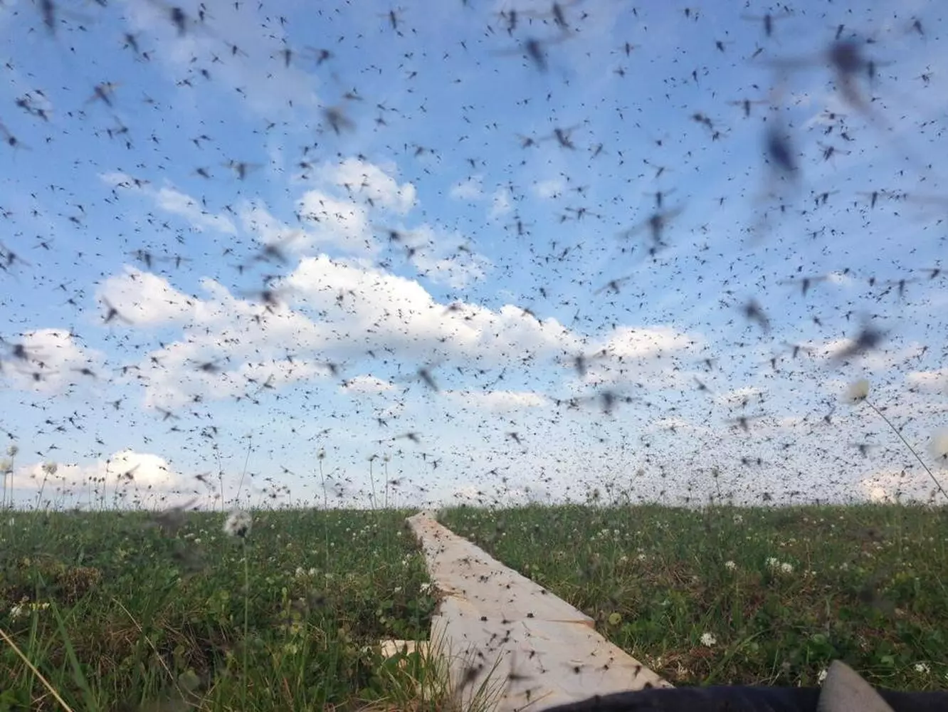 Bir fotoğraf