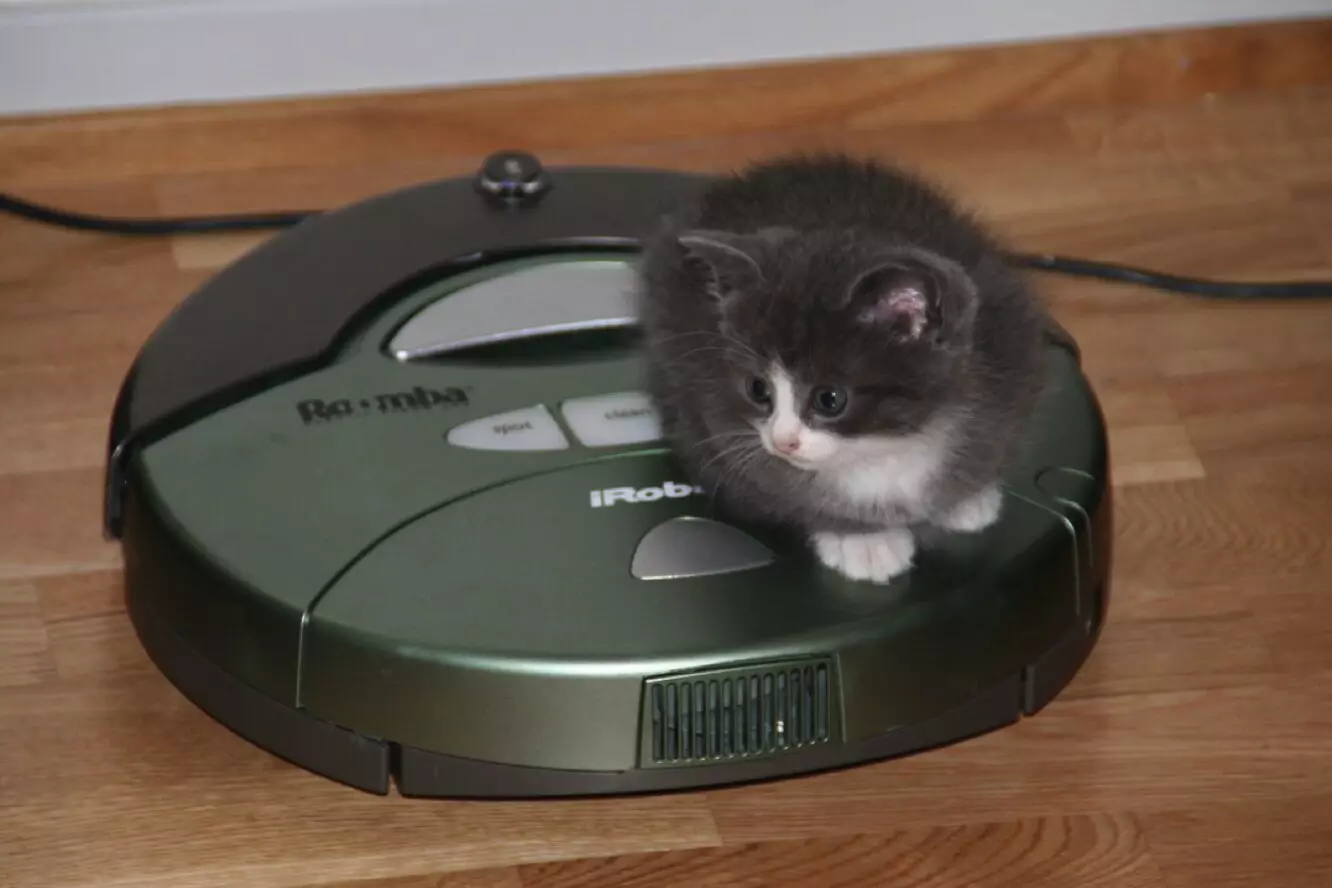 Robota valahiya Roomba robotan ji nû ve pênase dike, 2002. Robotek ku bêhemdî paqij dike? Di wê demê de, ew mîna xeyalek paqij bû. Lêbelê, Roomba amûrek pir rast bû, her çend biha be jî, ku têgihîştina gelemperî ya robotên malê guhezand.