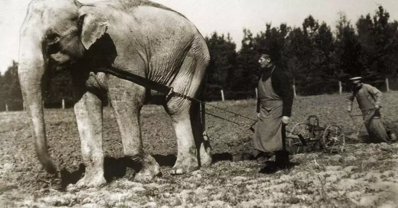 Mei 24: Siku katika historia ya sayansi na teknolojia