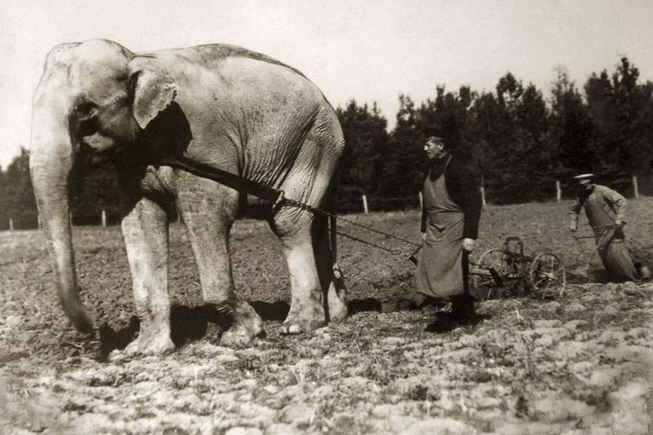 24 mei: dag in de geschiedenis van wetenschap en technologie