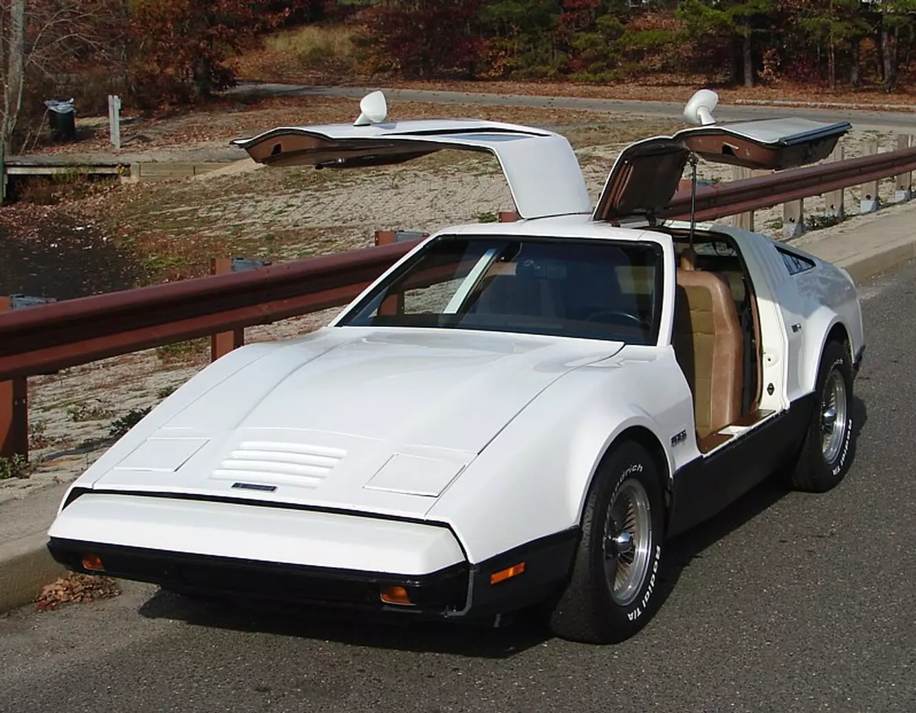 Bricklin. Marchio puramente canadese, no GM. Esisteva nel 1974-1975, è stata creata dal milionario Malcolm Bricklin per la produzione di auto sportive e ha venduto l'unico modello Bricklin SV-1 (nella foto). Dopo il fallimento dell'azienda, le ultime auto dei componenti sopravvissuti sono state assemblate in Ohio, negli Stati Uniti.