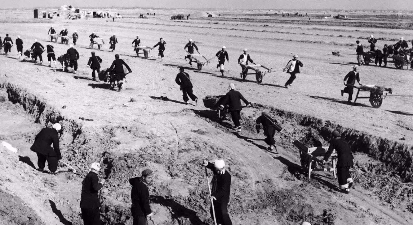 Een van de oorzaken van de Grote Chinese Hongersnood van 1959-1961, waarbij ongeveer 15 miljoen mensen omkwamen, was de beroemde campagne om mussen uit te roeien. In minder dan een half jaar tijd werden in China ongeveer 2 miljard vogels uitgeroeid, wat leidde tot een meervoudige toename van het aantal rupsen en sprinkhanen. Tegen de tijd dat de autoriteiten hun fout beseften, was het al te laat.