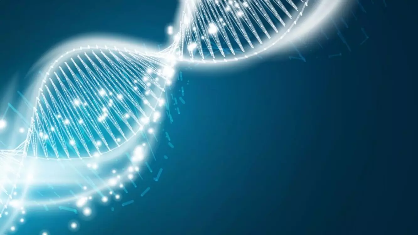 Cortisol Daraasadda horumarka ee heerka molecular ayaa muujisay in arrimuhu ay khaldami karaan wakhtiyadii hore. Boqolaal milyan oo sano ka hor, mid ka mid ah borotiinada ayaa si guul leh isu beddelay, isagoo noqday soo-dhoweeyaha hoormoonka ugu muhiimsan ee jirkeena - cortisol. Cortisol waa nidaamiyaha dheef-shiid kiimikaadka karbohaydrayt ee jirka, isaga oo la falgala soo-qabayaasha ku jira xudunta unugyada. La'aanteed, nolosheennu gabi ahaanba way ka duwanaan lahayd (haddii ay jiri lahaydba).