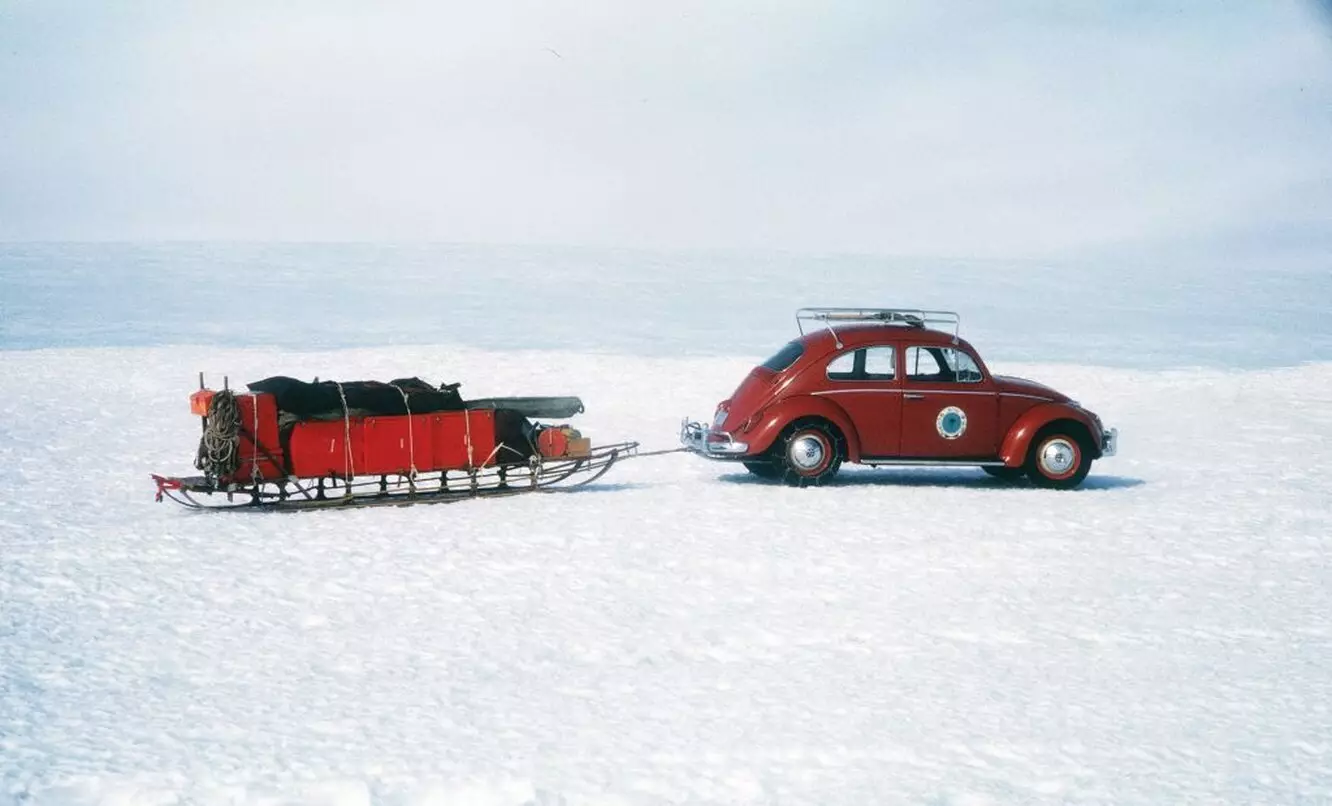 VW Beetle "Antarctica 1" (1963). Kumayambiriro kwa zaka za m'ma 60, anthu aku Australia adaganiza zobwezera ma Volkswagen Beetle angapo ndikuwagwiritsa ntchito ngati magalimoto othandizira pa Mawson Antarctic Station. "Chikumbu" choyamba, chotchedwa Antarctica 1, sichinangokhala nthano chabe, koma kawirikawiri galimoto yoyamba yopangidwa ndi anthu ambiri, yosapangidwa mwamakonda ku Antarctica. Otsiriza a "zikumbu" ntchito pa siteshoni mpaka 2001.