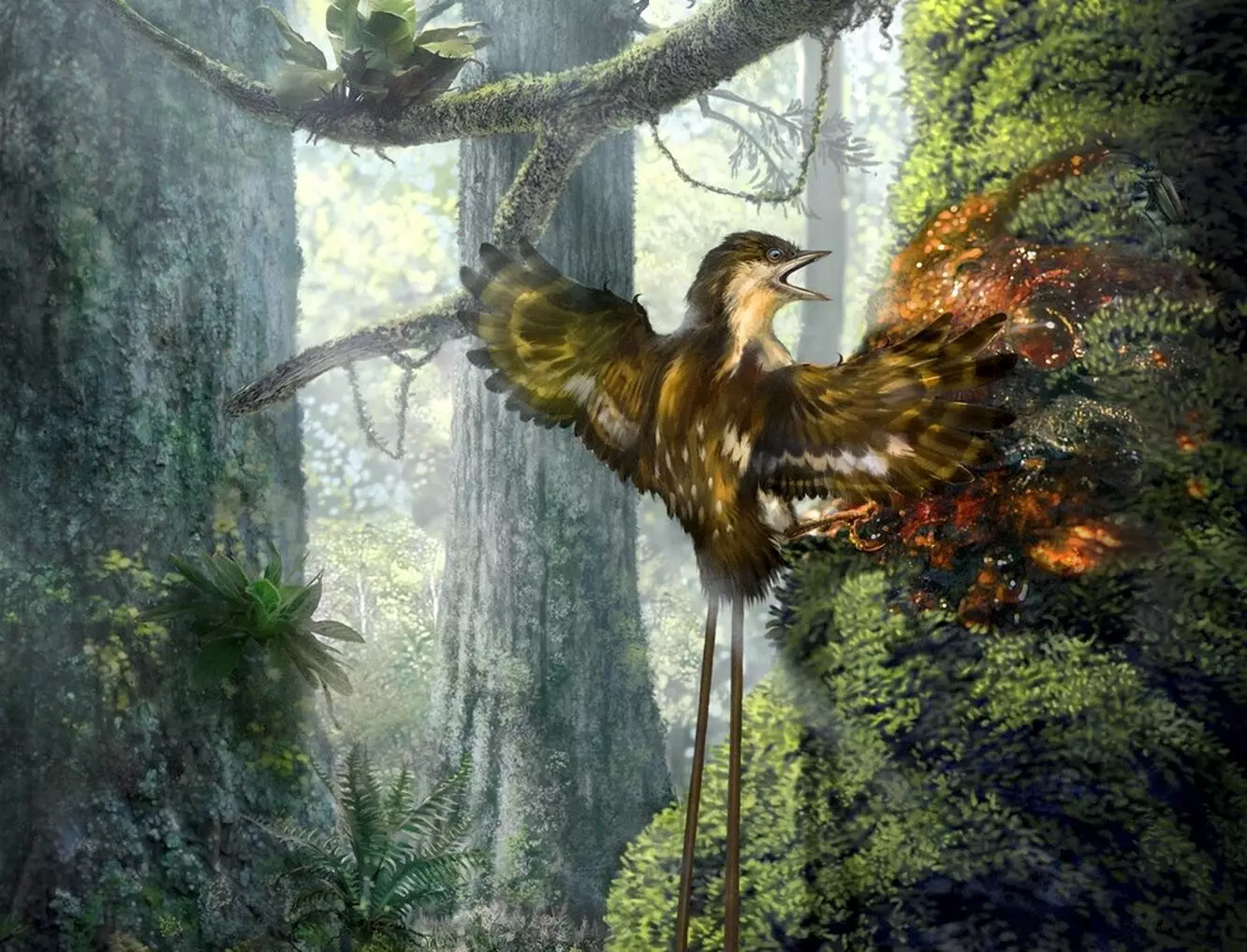 Plomes de dinosaure trobades a l'ambre 26119_2