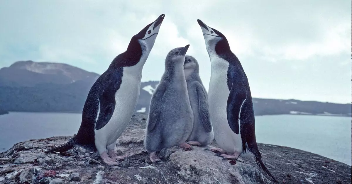 10 vreemdste wetenskapfoto's van die week