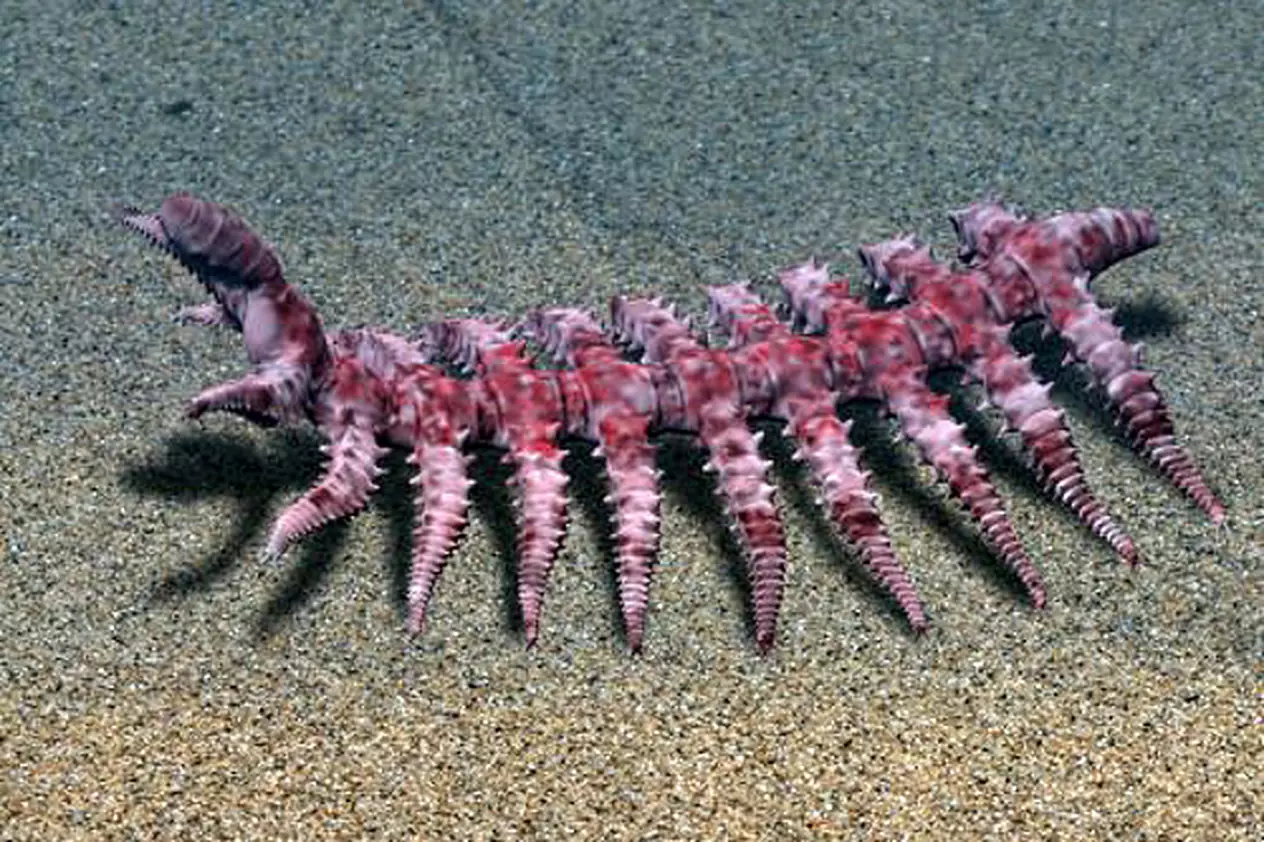 Diania cactiformis, "wandelende kaktus". Nog 'n wese uit die Kambriese tydperk, wat langs die seebodem op pote beweeg op soek na 'n swakker beskermde prooi. Dit het verwys na lobopods, die voorouers van baie insekte en geleedpotiges. Vandag leef net twee spesies lobopods op aarde - onychophora en tardigrades.