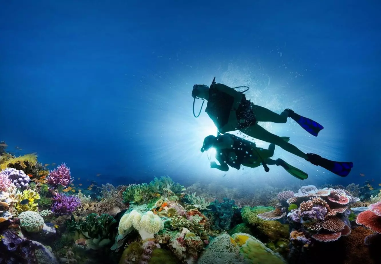 En la Tierra hay mucha más agua que tierra, y no es de extrañar que muchas personas quieran explorar los mares por su cuenta. Sin embargo, el buceo está estrictamente contraindicado para una serie de enfermedades, así como para el exceso de trabajo, la resaca o incluso la excitación nerviosa severa. Estas reglas a menudo se ignoran, lo que provoca 150 muertes al año.