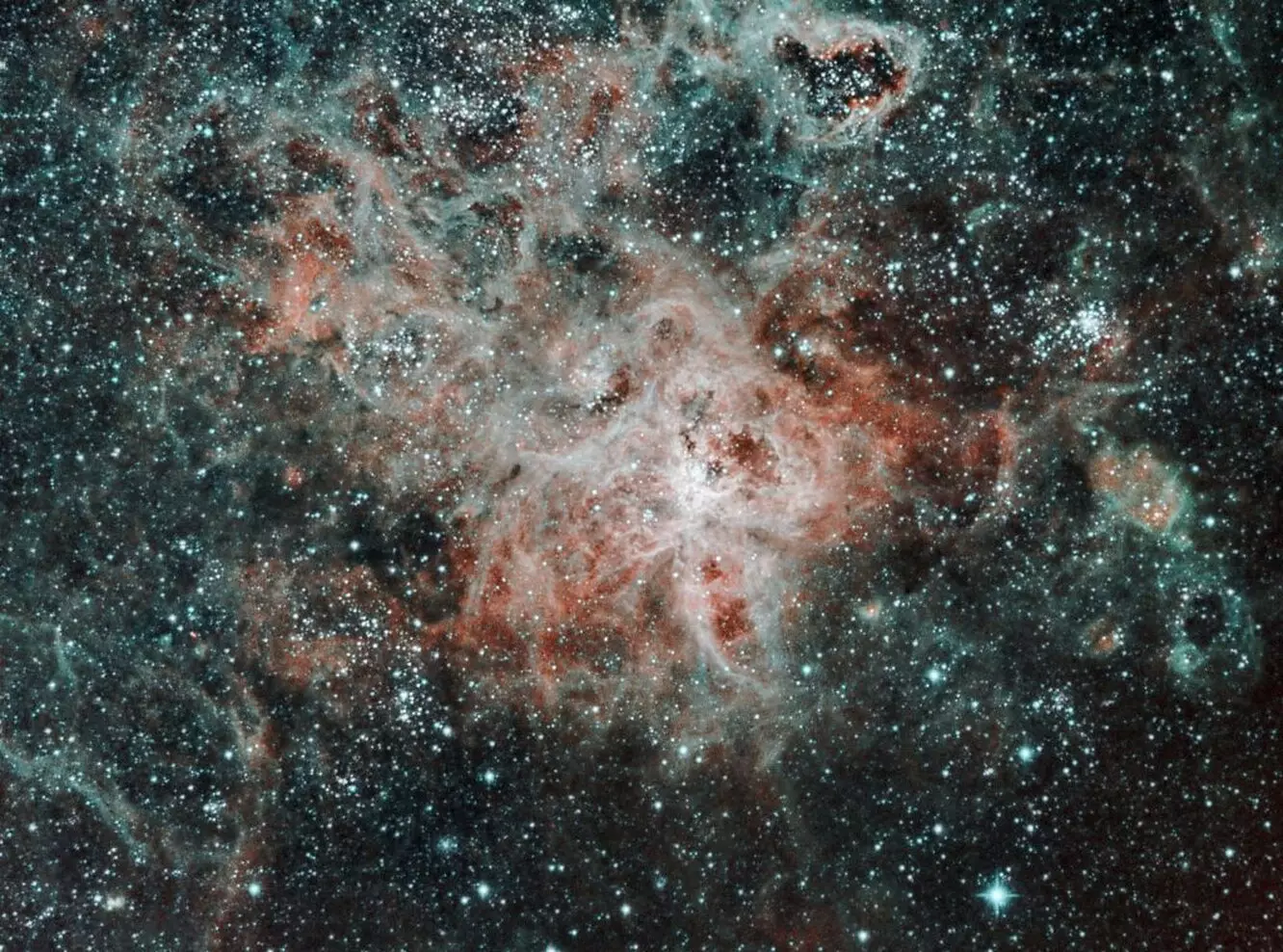 De Tarantula Nebula