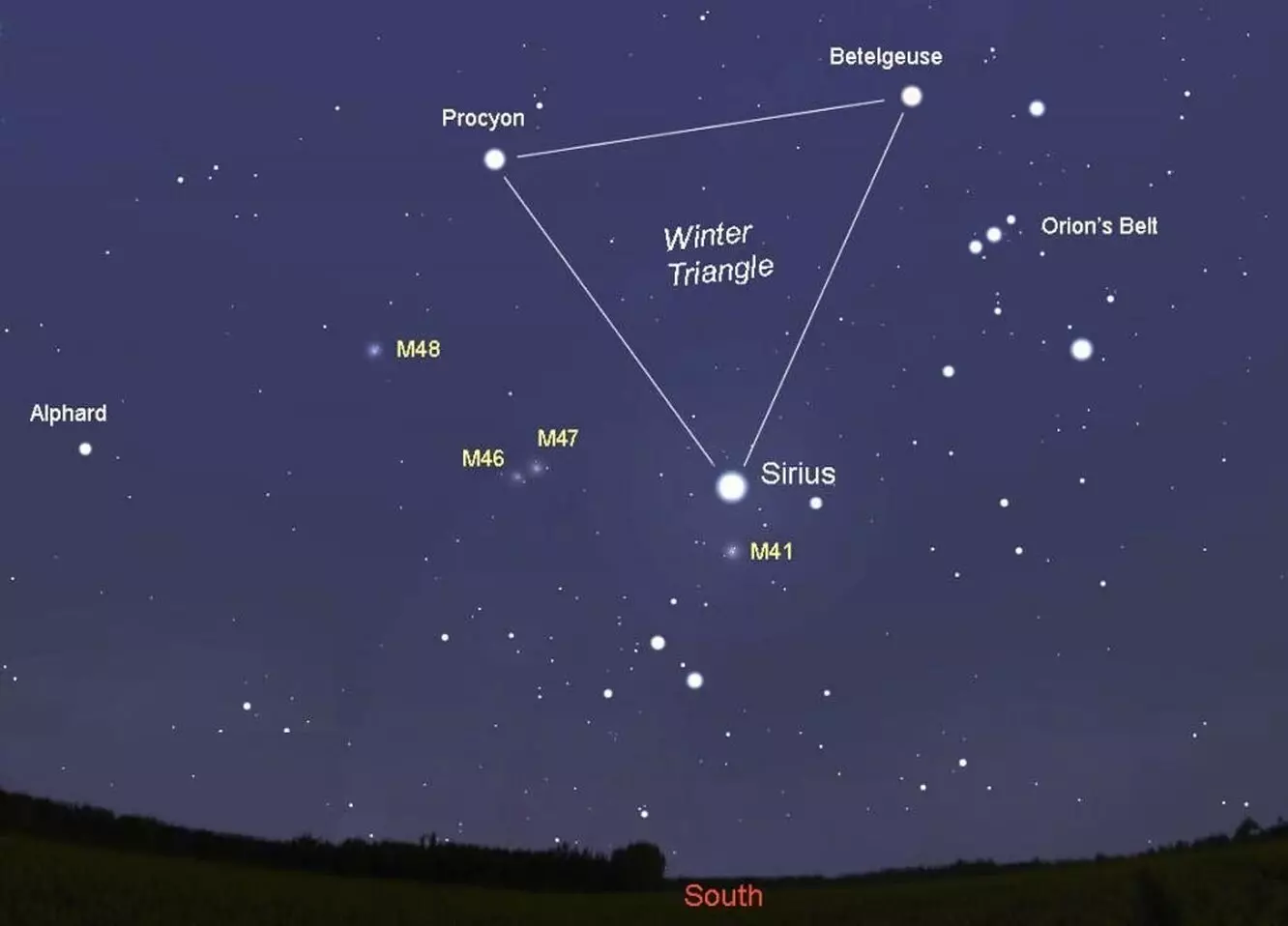 Procyon yw'r disgleiriaf yn y cytser Canis Minor, yr ail fwyaf disglair yn y "triongl gaeaf". Mae wedi'i leoli o'r Ddaear ar bellter o ddim ond 11.41 blwyddyn golau.