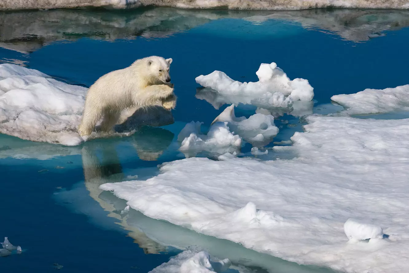 ການລະລາຍກ້ອນ Arctic. ກ້ອນຫຼາຍທີ່ສຸດຂອງປີໃນ Arctic ເກີດຂຶ້ນໃນເດືອນກຸມພາ. ໃນເດືອນກຸມພາ 2015, ມັນແມ່ນຫນ້ອຍກວ່າທຸກປີທີ່ຜ່ານມາ, ແຕ່ສະຖິຕິໄດ້ຖືກທໍາລາຍແລ້ວໃນເດືອນກຸມພາ 2016.